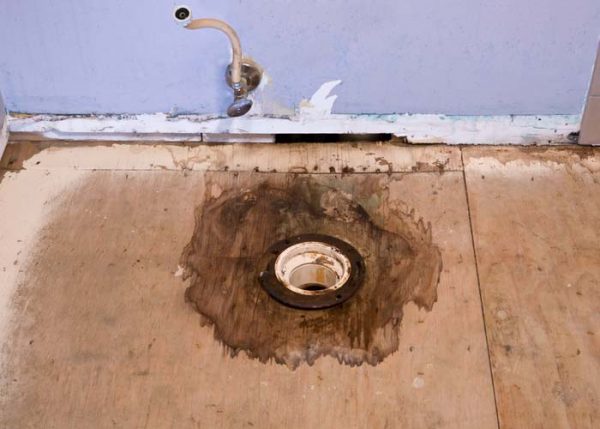 7 Signs Your Bathroom Has Water Damage: What to Look For