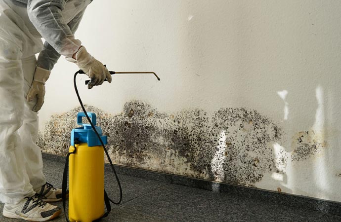 What Causes Mold Growth in Kalamazoo & Lansing, MI? - Camelot Emergency ...